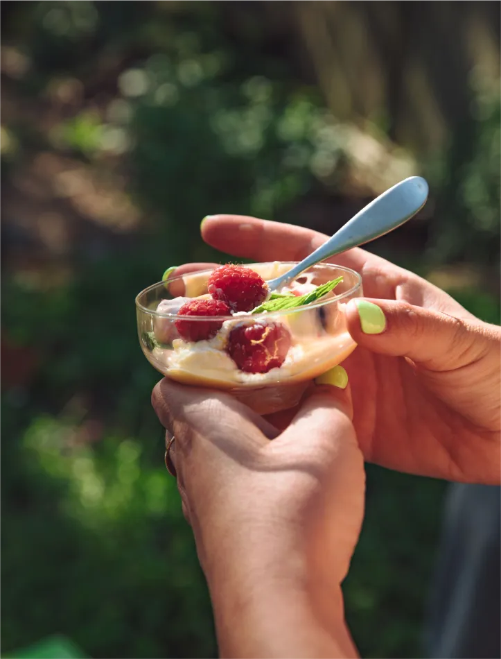 Framework - Dropbox Brand Guidelines